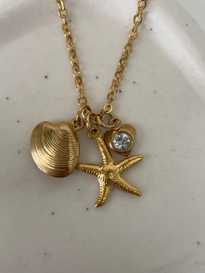 Products – Page 4 – Shellbrands