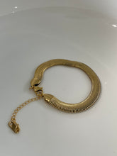 Products – Shellbrands